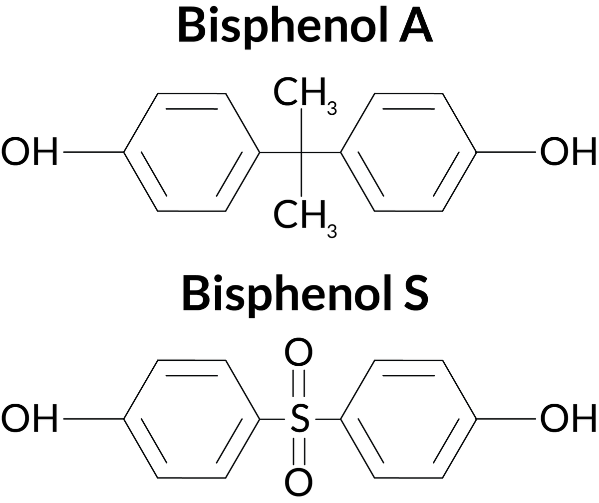 Bpa bps comparison Bulletin Bottle