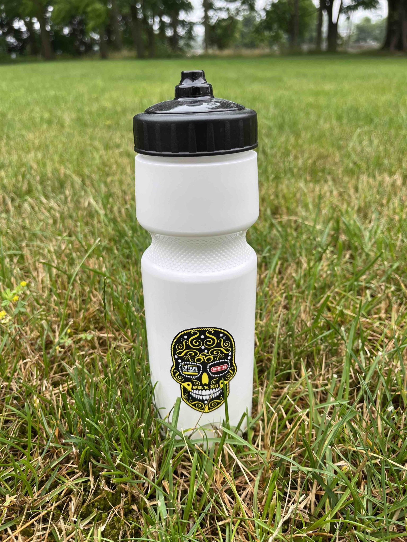 BPA-Free Reusable Water Bottles: A Sustainable Hydration Choice ...
